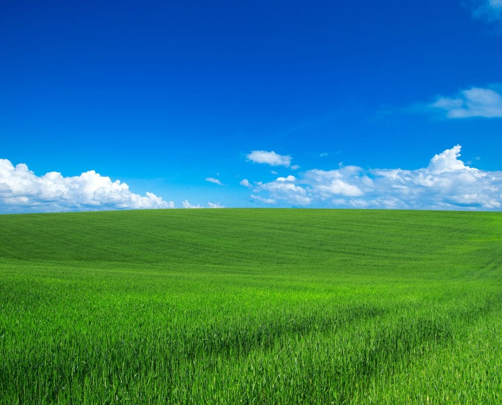 How Early Money And The Right Financial Partner Can Smooth Greenfield ...