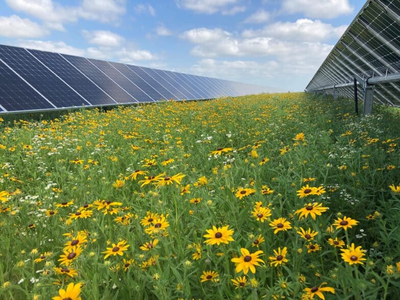 Supporting The Growing Illinois Solar Market – Standard Solar